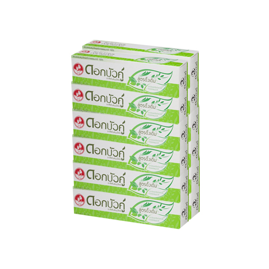 Makroclick | TWIN LOTUS TOOTHPASTE HERBAL 150GX6