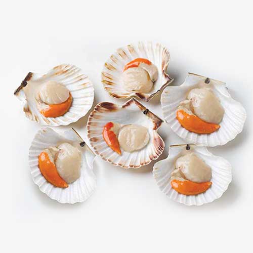 Makroclick | FZ H/SHELL SCALLOP ROE ON9-10CMX1