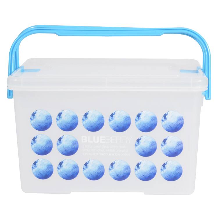 Makroclick | STORAGE BOX WITH HANDLE#452S 9L*1PC