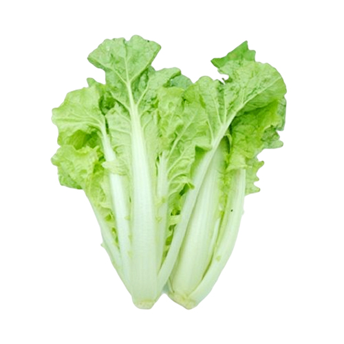Makroclick | Organic Curly Wrap Bok Choy 300g
