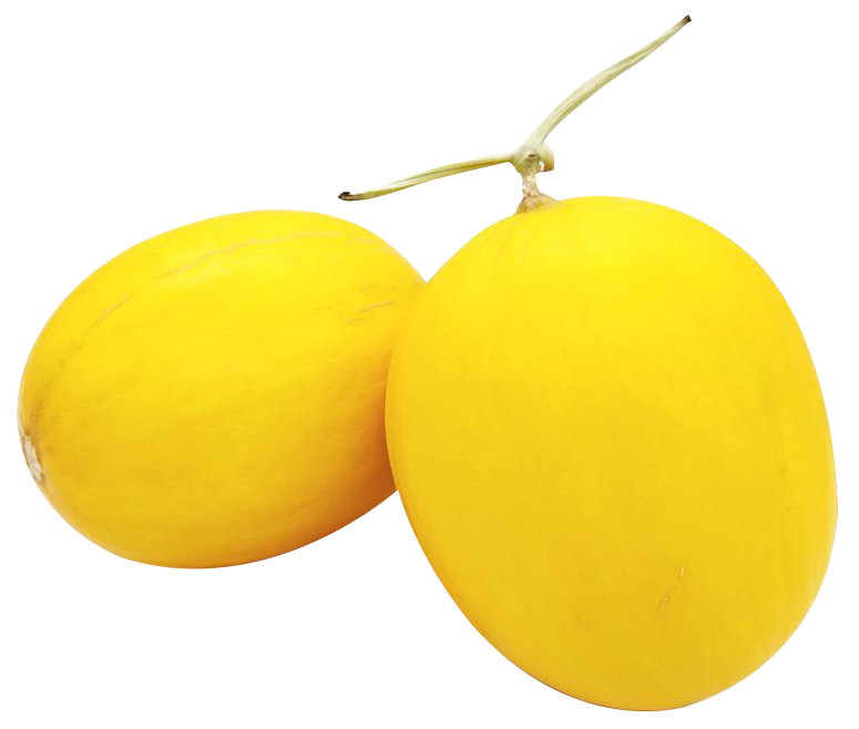 Makroclick | GOLDEN MELON 10 KG